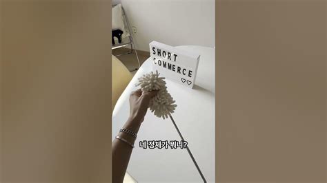 3단으로 펴지는 다이소 먼지털이 청소 고민 추천템 제품리뷰 Youtube