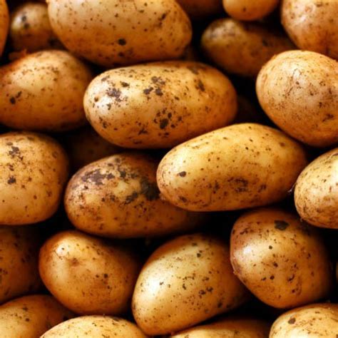 Оптовая продажа со склада рыбы овощей фруктов мороженного компания Food And Sail