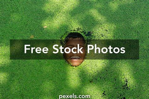 Bigassgirlwith Photos Download The Best Free Bigassgirlwith