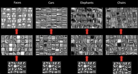 Cnn Transfer Learning And Data Augmentation Ai Planet Formerly Dphi