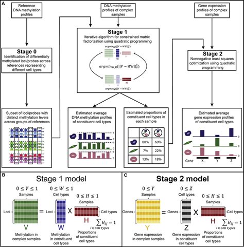 Description Of The EDec Method Download Scientific Diagram