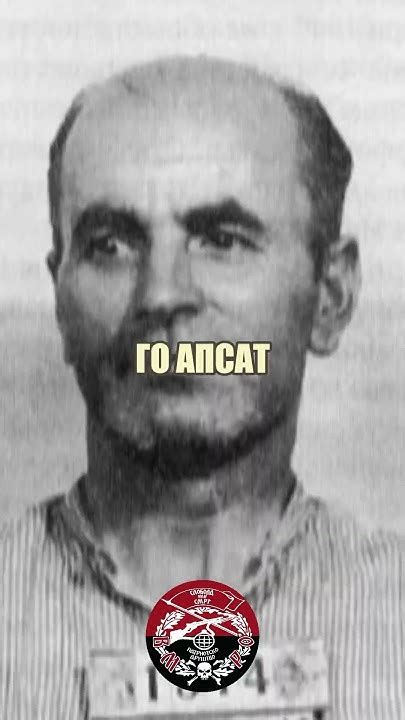 🇲🇰 Методија Андонов Ченто и Ванчо Михајлов Youtube