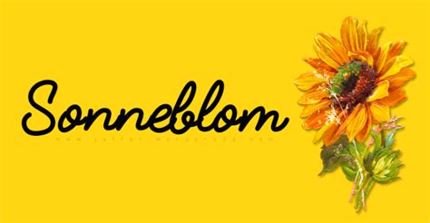 Sonneblom © My Klaskamer Idees En Gedagtes Uit N Juffrou Se Pen