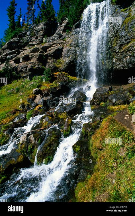 Crooked Creek Falls Mount Adams Wilderness Area Washington United
