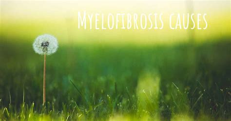 Which Are The Causes Of Myelofibrosis