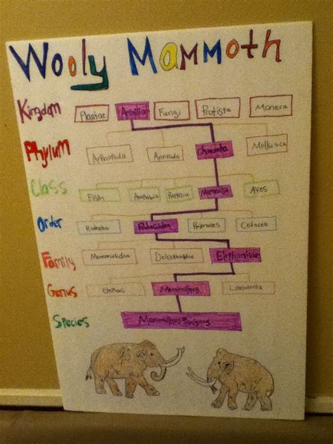 10 Best Linnaeus Chart Images On Pinterest Linnaeus Challenge And Ap Biology