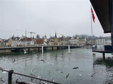 스위스 루체른 여행 후기 루체른 여행 명소카펠교부터 리기산까지 교통 날씨 여행 팁까지