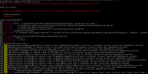 Nodejs Installation Npm Failed For An Existing Project With Angular