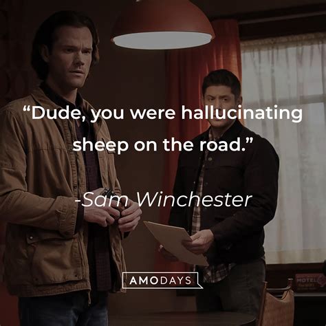 44 Sam Winchester Quotes On Love Loyalty And Laughter