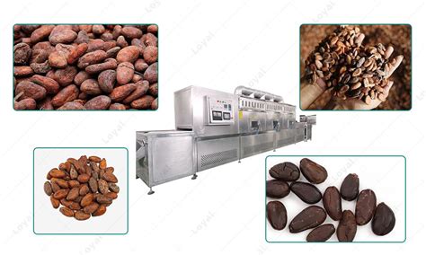 Industrial Microwave Cocoa Beans Drying Technology Shandong Loyal