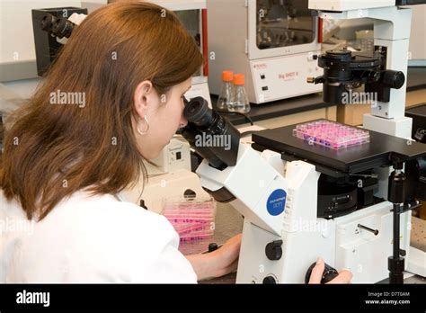 Medical Laboratory Microscope Stock Photo Alamy