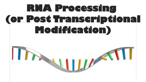 Post Transcriptional Modification Pptx Chemistry Science