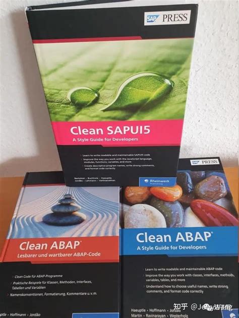 关于在 Abap 调试器里查看类的静态属性的一个小技巧 知乎