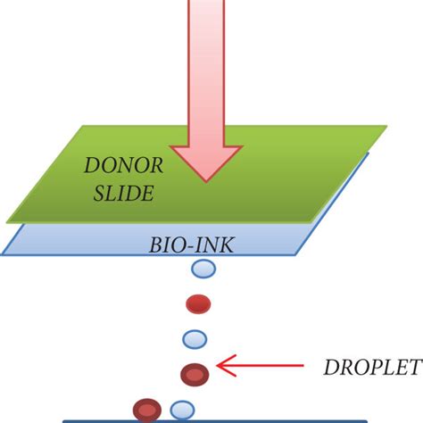 Bioprinting Methods A Extrusion Based B Inkjet Based C Download Scientific Diagram