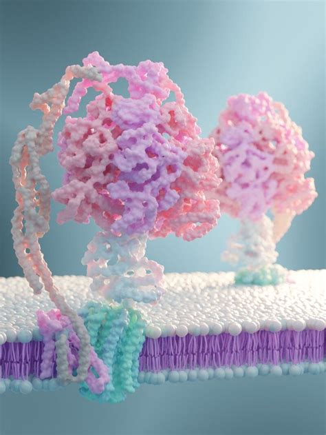 ArtStation ATP Synthase Tom Van Hattem Hattem Biochemistry Medical Illustration