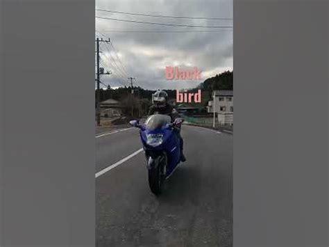 #HONDA CBR1100XX - YouTube