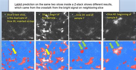 labkit segment on slices in z stack crosstalk from neighboring slice usage and issues image