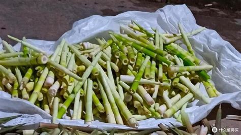 全国有多少种“笋”？哪个品种最好吃？今天全读懂，来，涨知识了 蔬菜 什么值得买