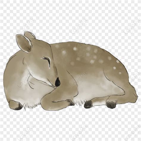 사슴 Png 일러스트 무료 다운로드 Lovepik