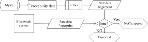 Data Verification Logic Diagram Download Scientific Diagram