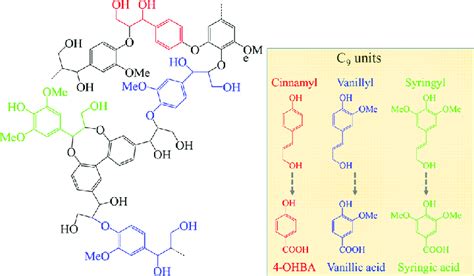 Example Chemical Structure Of Lignin And Its Three C 9 Units Download Scientific Diagram