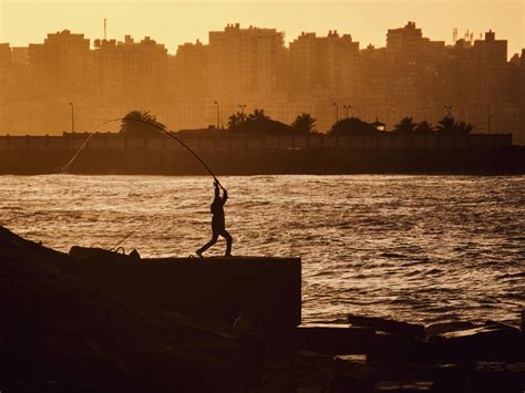 최고의 مسارالشمسفيالسماء 사진 · 100 무료 다운로드 · Pexels 스톡 사진