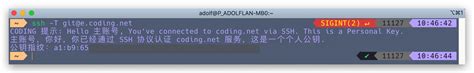 配置 Ssh 公钥 什么是 Devops Devops 介绍 | Coding Devops 配置 Ssh 公钥 什么是 Devops Devops 介绍 | Coding Devops