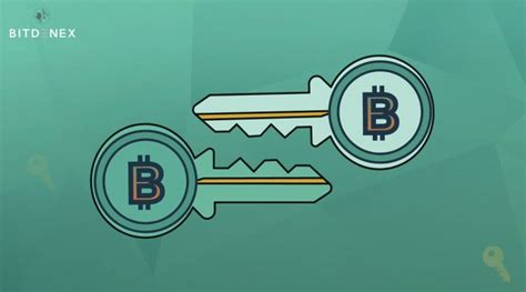 What Are Public And Private Keys In Cryptocurrency And What Is The Difference Between Them Bitdenex
