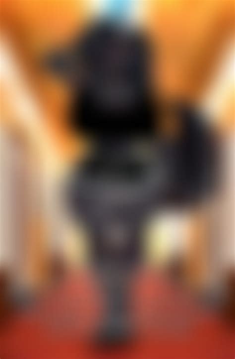 Closed Animated Busty Hellhound Girl In Hotel By Secmar On Deviantart