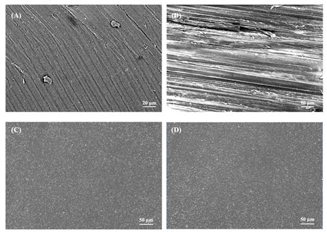 Polymers Free Full Text Characterization And Antibacterial