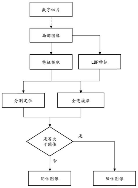 一种基于深度学习的宫颈癌早期筛查系统 爱企查
