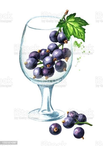 유리 잔에 검은 건포도 열매 흰색 배경에 격리 된 손으로 그린 수채화 그림 개체 그룹에 대한 스톡 벡터 아트 및 기타 이미지 개체 그룹 건강한 식생활 검은색 Istock