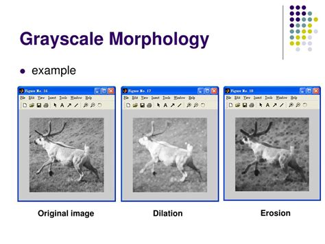 Ppt Mathematical Morphology Powerpoint Presentation Free Download Id5281074