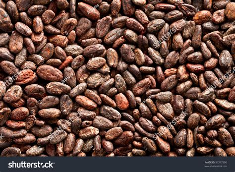 Pattern Cocoa Beans Background Stock Photo 97317590 Shutterstock
