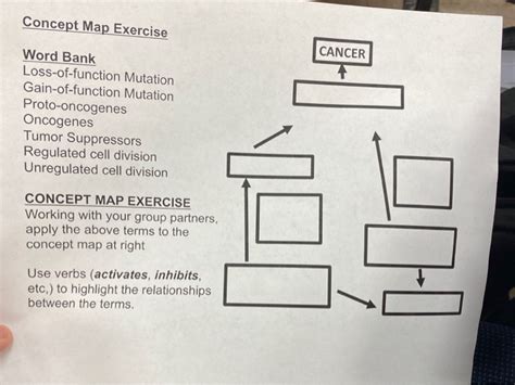 Solved Concept Map Exercise Cancer Word Bank