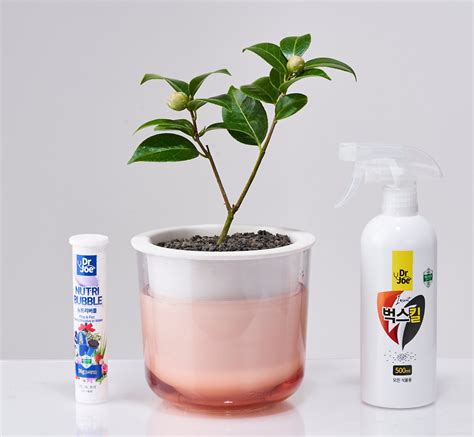 눈보라 속에서 피어나는 동백나무 키우기 숲과 나무에 대한 이야기 매거진