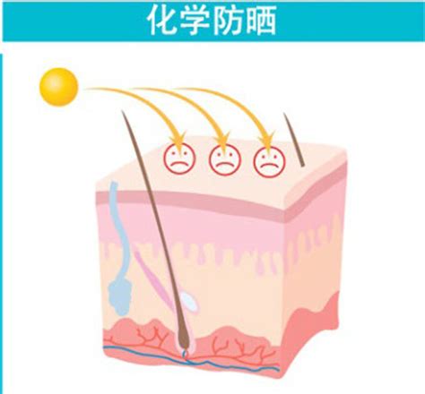 化学防晒图册 360百科