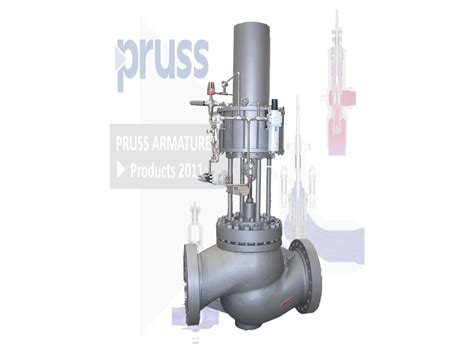 Pruss