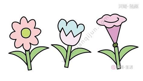 各种花简笔画 各种花简笔画怎么画 天奇生活