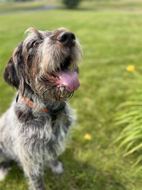 𝗪𝗲 𝘀𝗮𝗶𝗱 𝗴𝗼𝗼𝗱𝗯𝘆𝗲 𝘁𝗼 𝗘𝗹𝘀𝗮 𝗹𝗮𝘀𝘁 𝗻𝗶𝗴𝗵𝘁 Jill Stuber