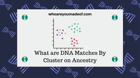 What Are Dna Matches By Cluster On Ancestry Who Are You Made Of