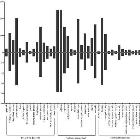 Histogram Presentation Of Gene Ontology Classification The Results Are
