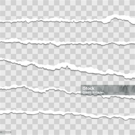 아름 다운 현실적인 찢어진 된 종이 줄무늬 벡터 설정 Tamplate 투명 한 배경 갈기갈기 찢어진에 대한 스톡 벡터 아트 및 기타 이미지 갈기갈기 찢어진 가장자리