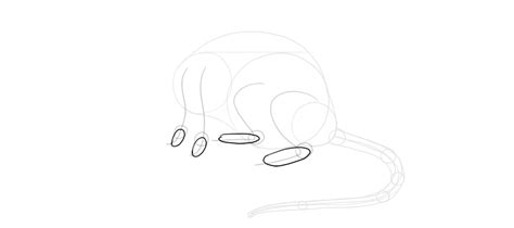 How To Draw A Mouse Envato Tuts