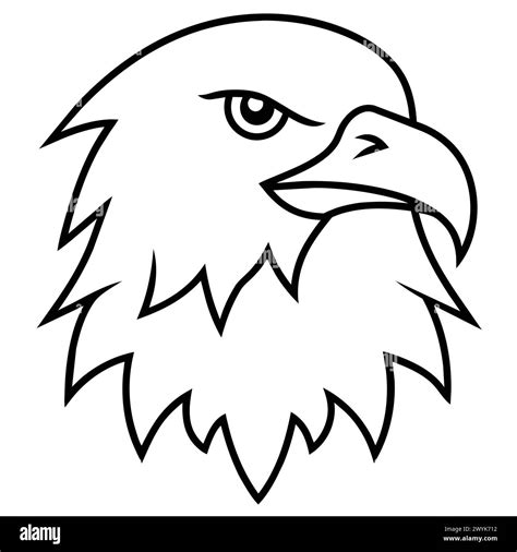 Eagle Vector Illustration In White Background Stock Vector Image And Art