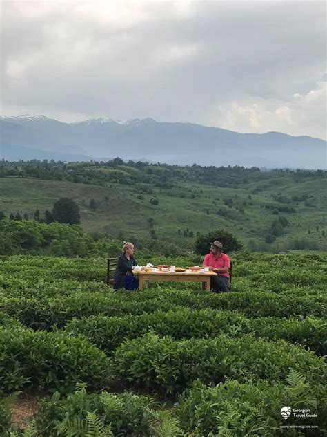 ნაგომარის ჩაის სახლი Georgian Travel Guide