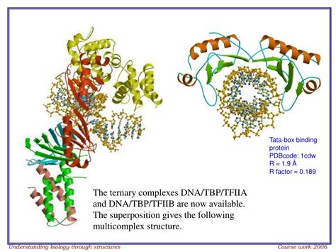 Ppt Protein Nucleic Acid Interactions General Principles Powerpoint