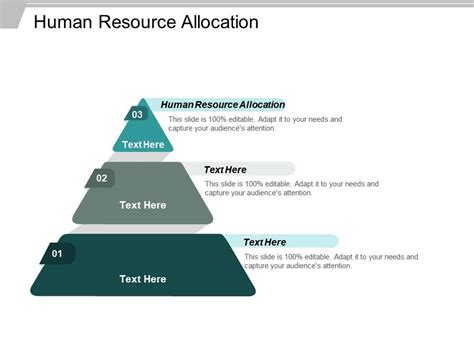 Human Resource Allocation Ppt Powerpoint Presentation Ideas Graphics Pictures Cpb Powerpoint