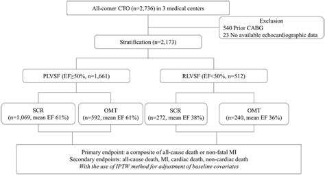 Flowchart Of Cto Patient Stratification According To Lvsf From A Download Scientific Diagram