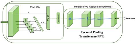 Reconsidering Multi Branch Aggregation For Semantic Segmentation